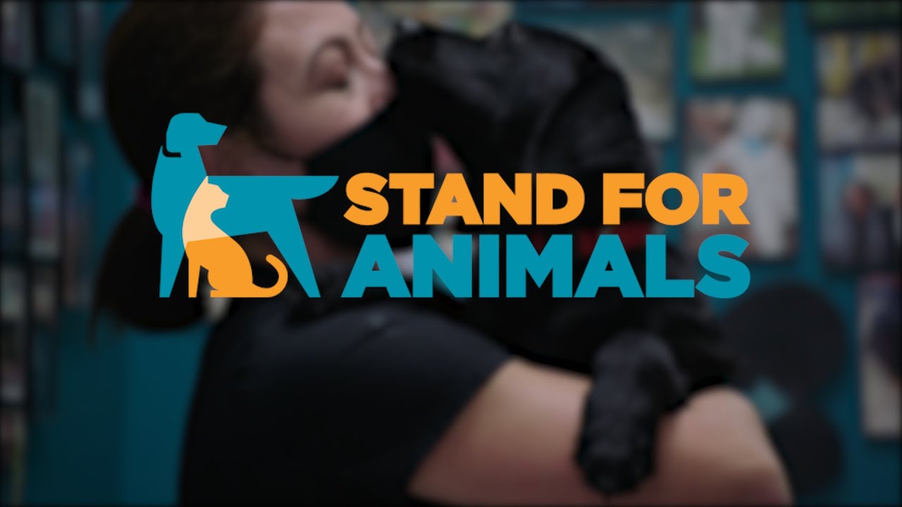 We Keep Standing - YouTube