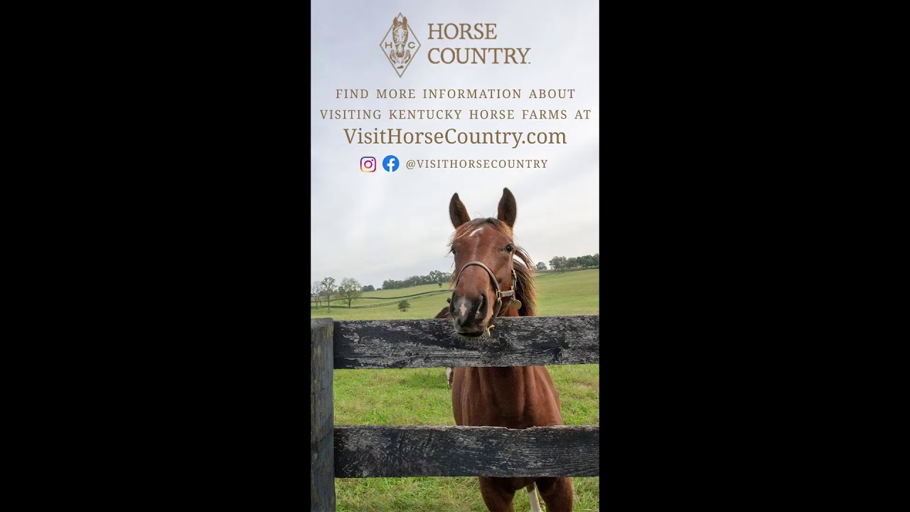 Tour Claiborne Farm: home of some of the greatest horses and the final ...