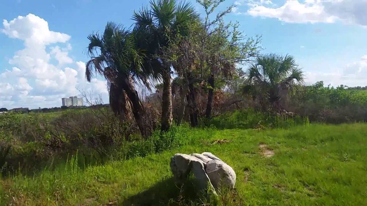 Pam Callahan Nature Preserve "Another Day in Paradise" - YouTube