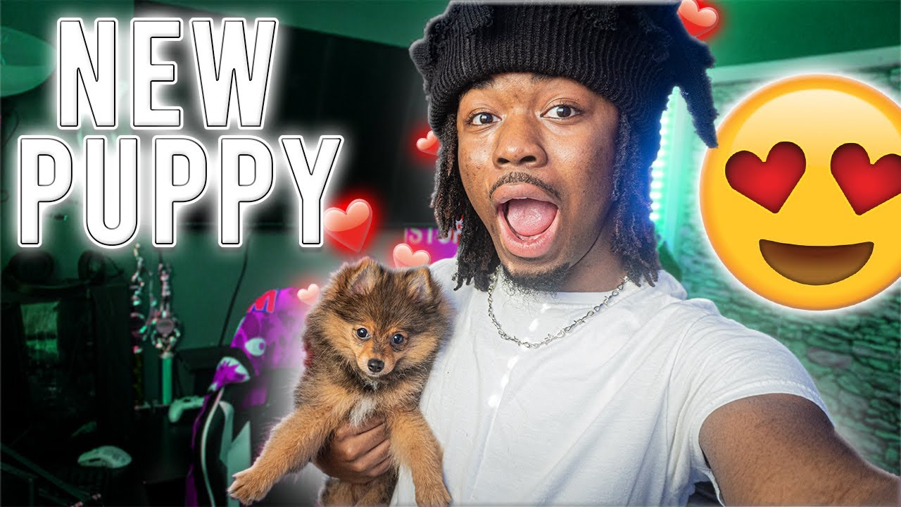 I GOT A NEW DOG... - YouTube