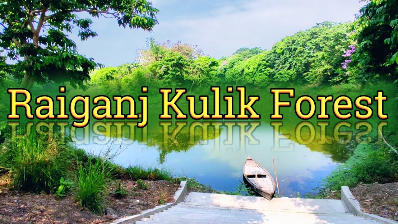 Raiganj Kulik Forest || The Second Largest Bird Sanctuary In Asia ...