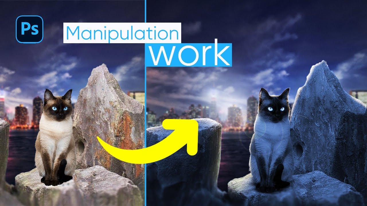 Photo Manipulation Design | Cat Photoshop Manipulation | Manipulation ...