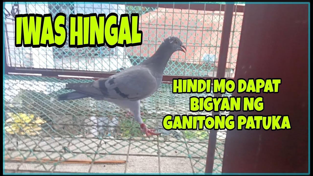 HUWAG MONG IBIGAY ITO SA TAG-INIT || TIPS - YouTube
