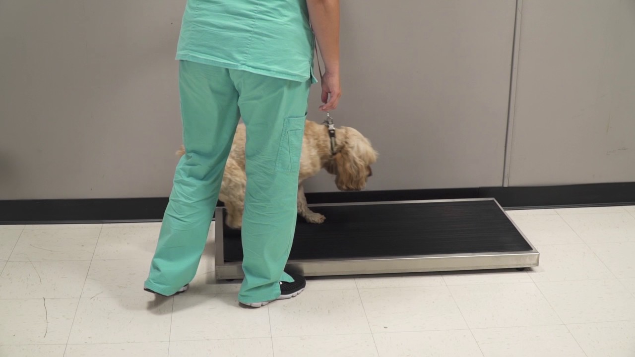 Midmark Scales - YouTube