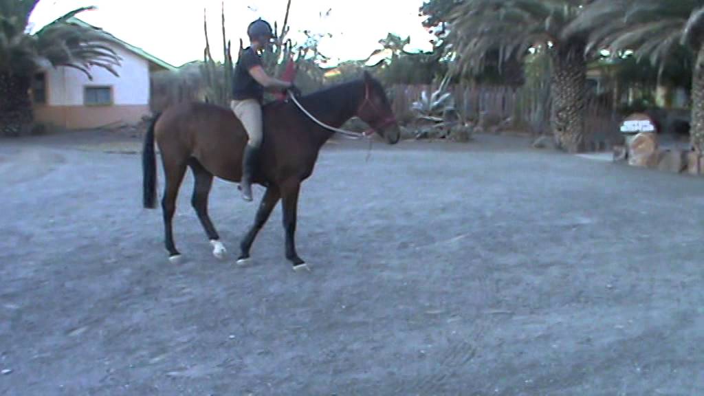 Arrak ride 15 1st ride with flag - YouTube