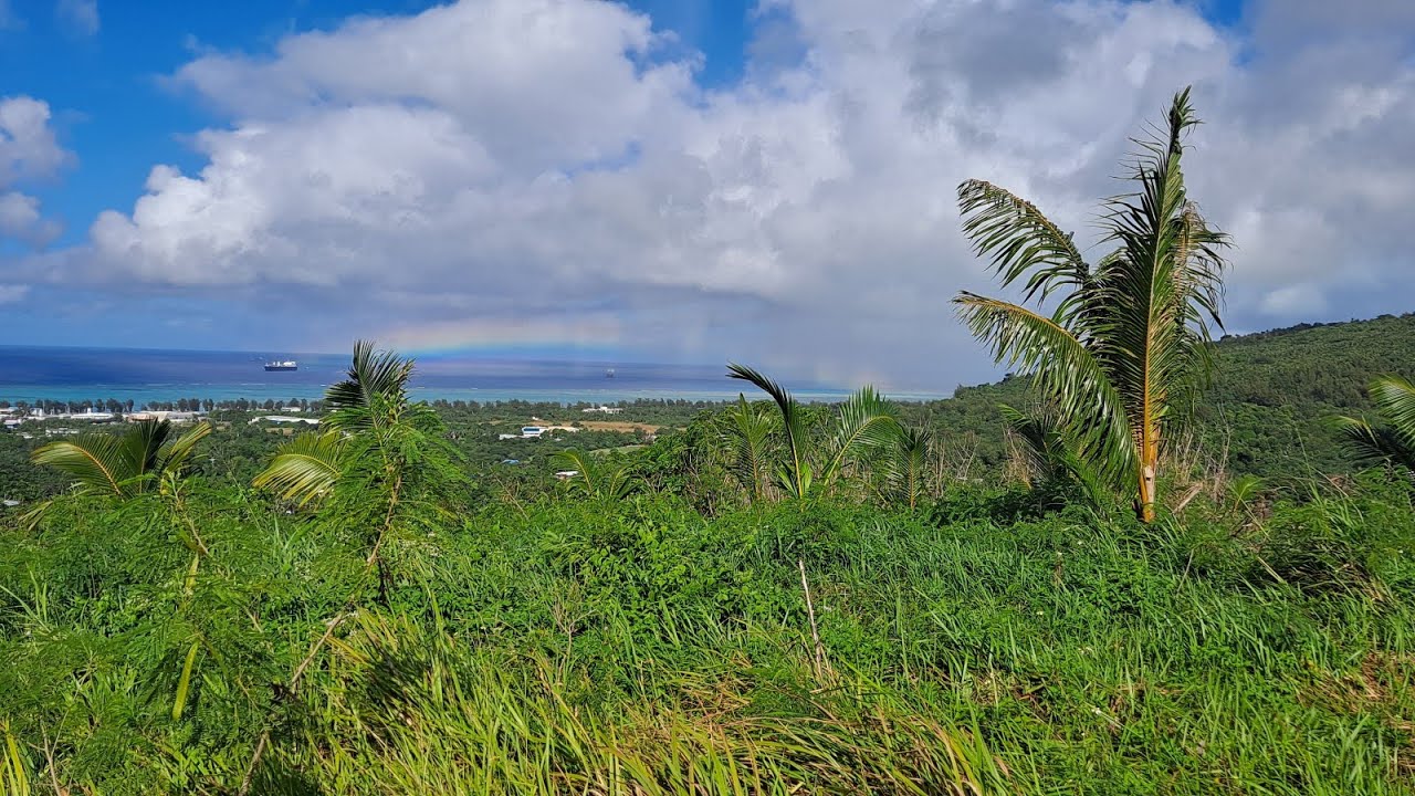 AVATAR TREE HAS SPOKEN. SAIPAN EDEN EMERGENCY UPDATE. 150K FLAT. The No ...