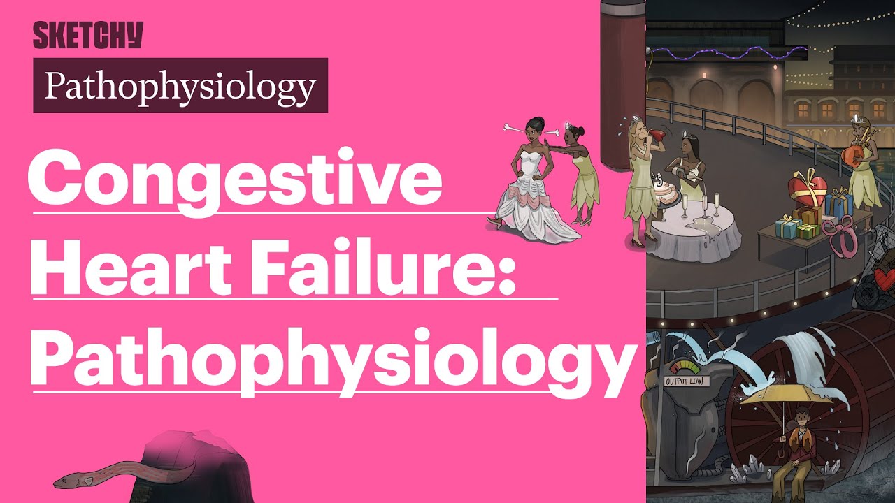 Congestive Heart Failure (Pathophysiology) | Sketchy Medical - YouTube