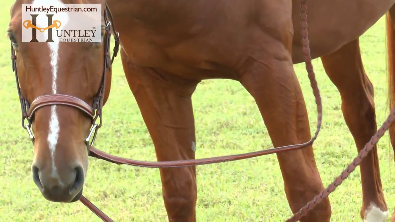 Huntley Equestrian Sedgwick Fancy Stitched Hunter Bridle and Reins ...