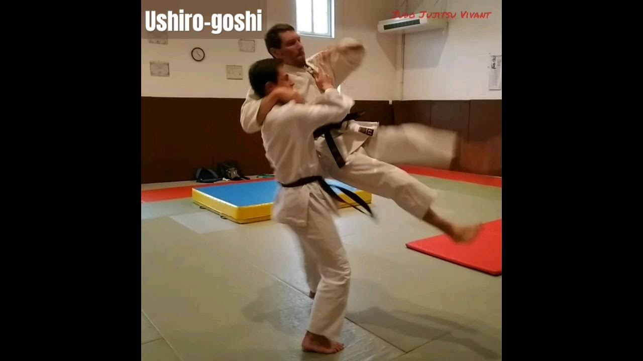 Comment faire Ushiro-goshi pour l'UV2 technique du 1er DAN Judo Jujitsu #judo - YouTube