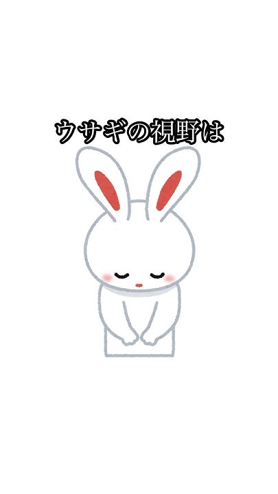 知っておくと役に立つかもしれない雑学shorts 知育動画雑学 豆知識 面白い知恵袋あるある Youtube