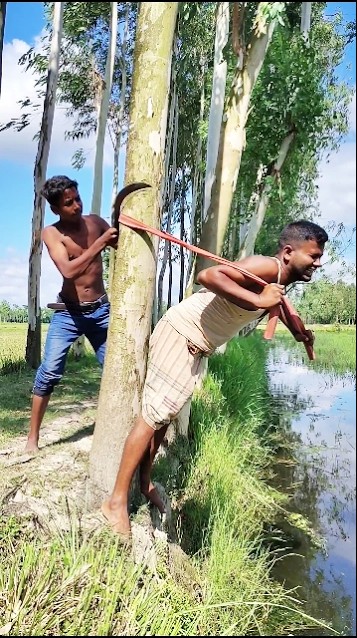 Exercises by tying tubes in trees - YouTube