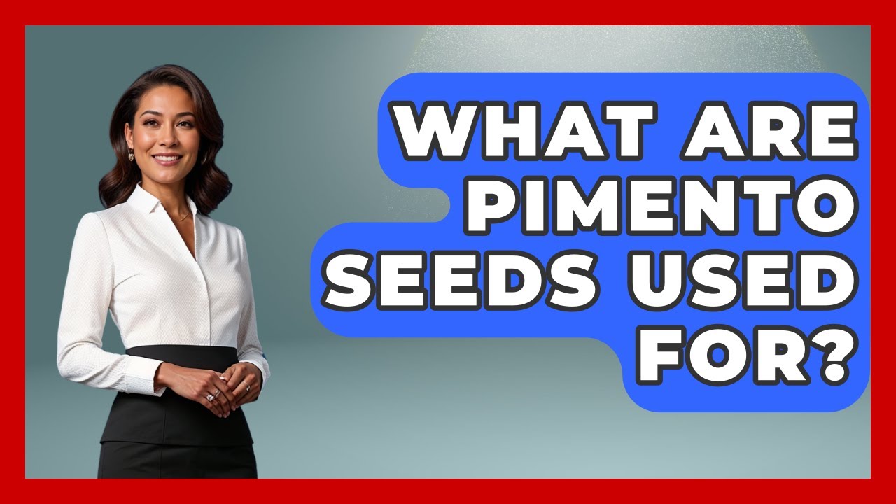 What Are Pimento Seeds Used For? - The Caribbean Expert - YouTube