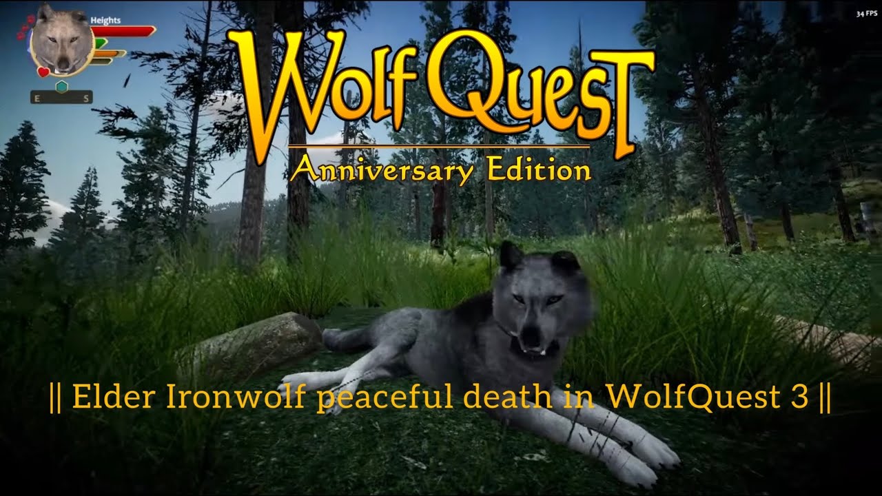 Elder ironwolf peaceful death in wolfquest 3 - YouTube
