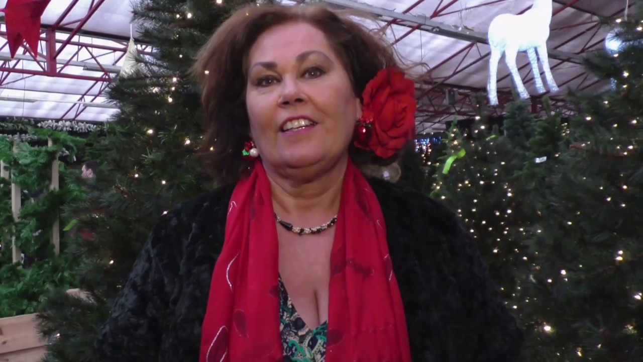 Grace Reece - Als de lichtjes gaan stralen - YouTube