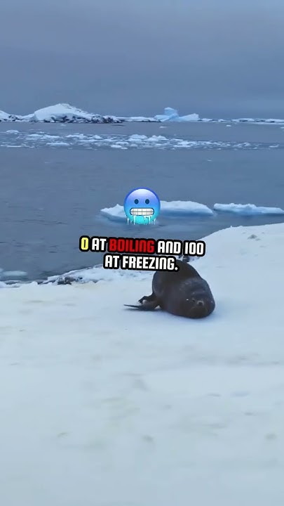 The Thermometer: Unveiling the Secrets of Temperature | A Fascinating ...