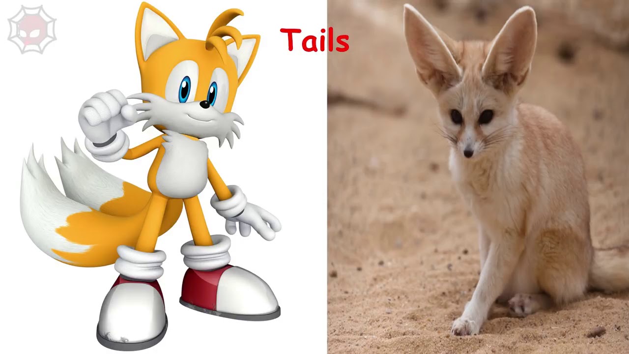 Sonic Boom In Real Life WTF Funny Facts In Real Life - YouTube