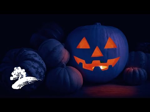 The Party Cats - Kids Dance Party: Halloween Jams [Halloween Visualizer]