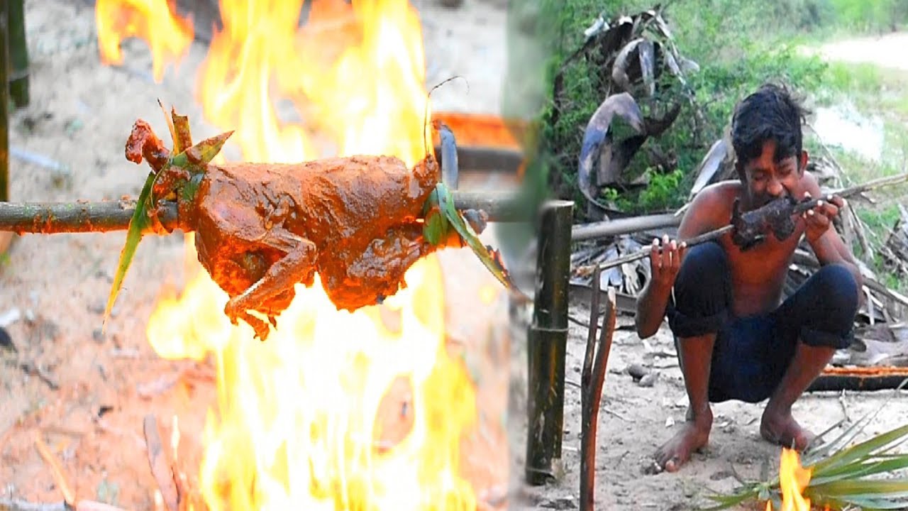 Primitive Technology - Catch and Cooking Coot in wild - Eating ...