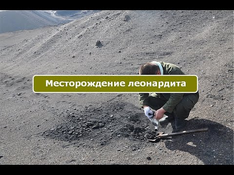 ЭТИ УДОБРЕНИЯ НАХОДКА ДЛЯ МЕНЯ. Натуральные удобрения на основе ...
