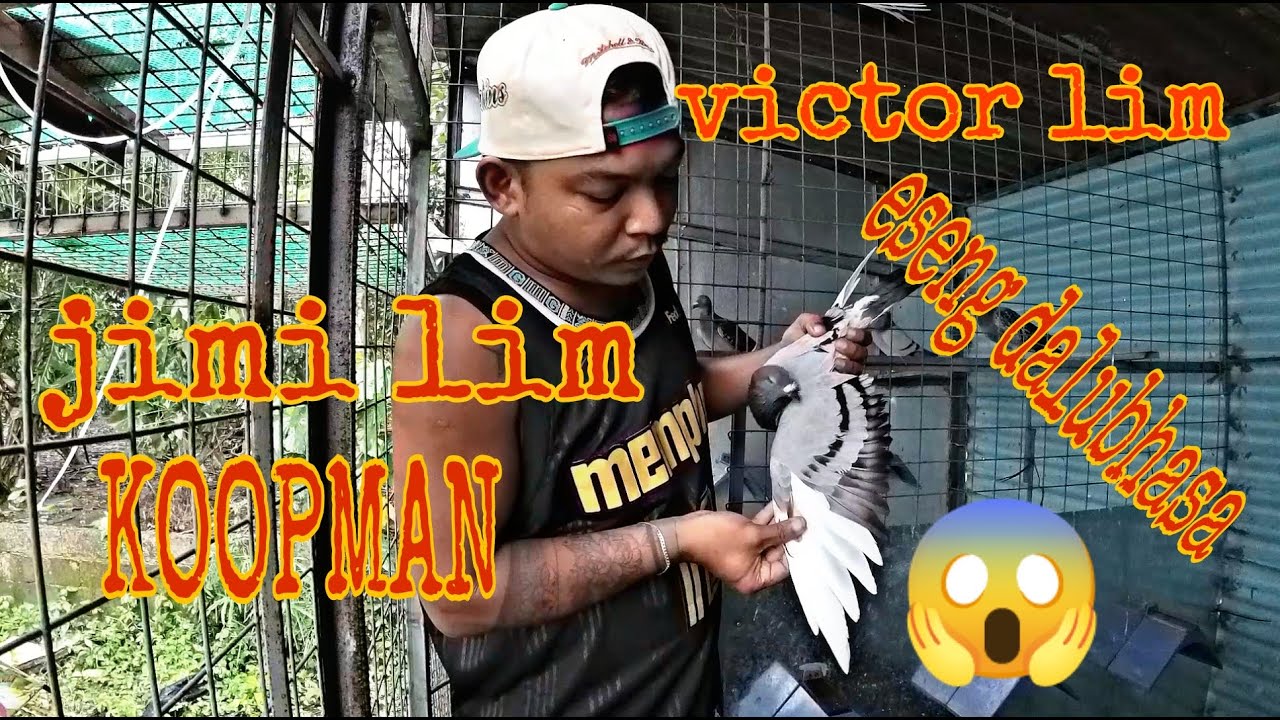 BLOODLINE NG KALAPATI KO? - YouTube