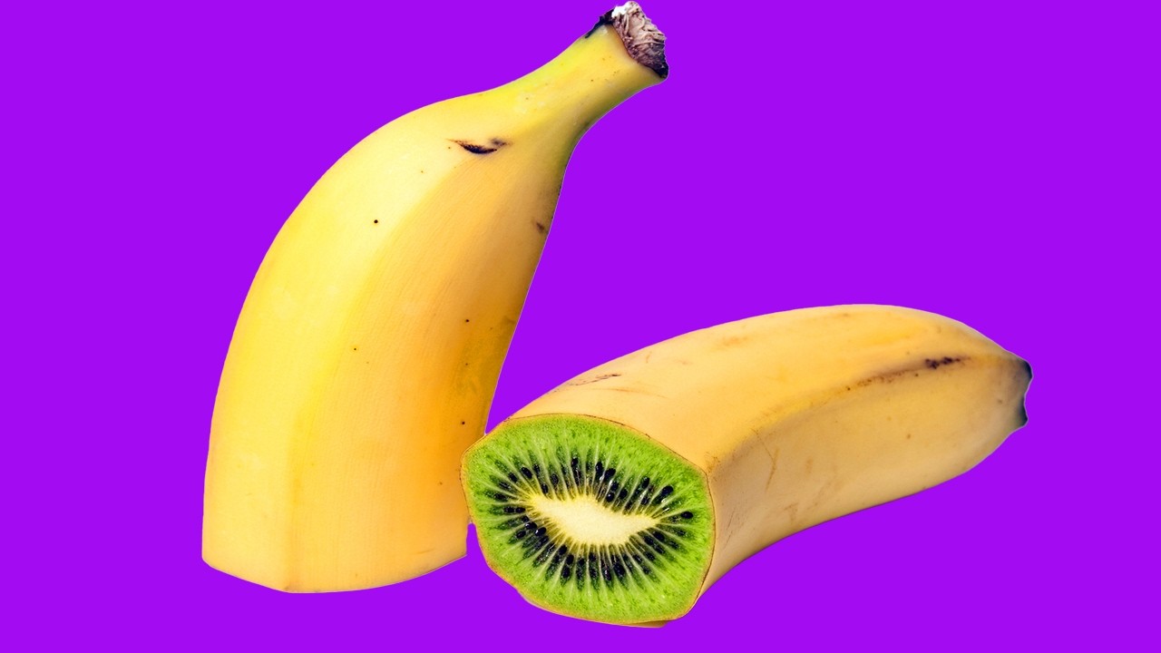 Inside fruits and vegetables - YouTube