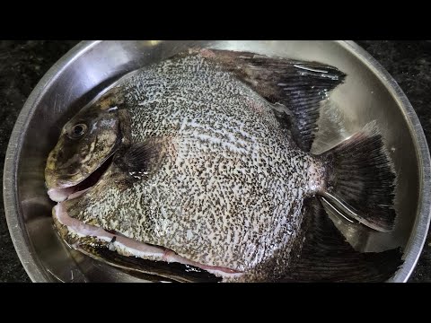 Masak Didapur Sederhanaku di hongkong