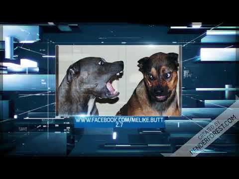 yo pit loose - YouTube