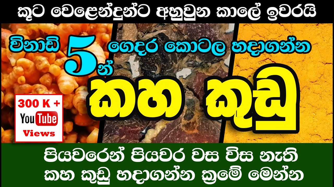 කහ කුඩු විනාඩි 5න් කොටල හදමු - Turmeric Powder - Kaha Kudu - 300 K+ ...