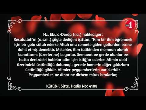 Hadislerden Seçmeler/22