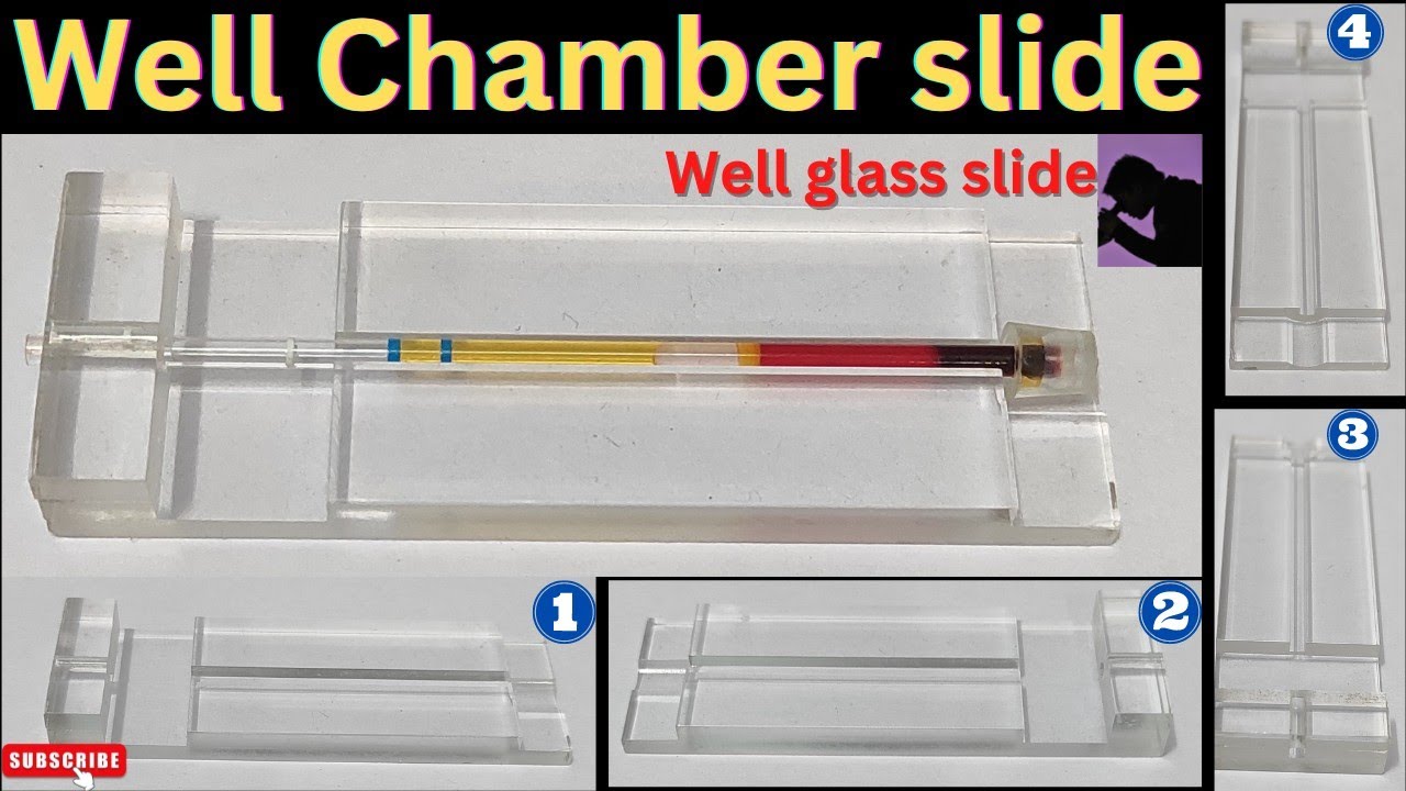 Well chamber slide | Well glass slide | @medicallabtechnologysajal6903 ...
