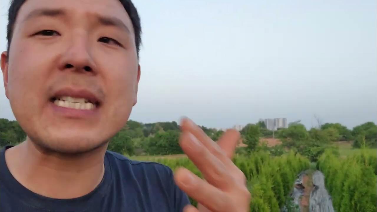 나무농사 두둑을 너무 높게 만들면 생기는 일ㅜㅜ Youtube