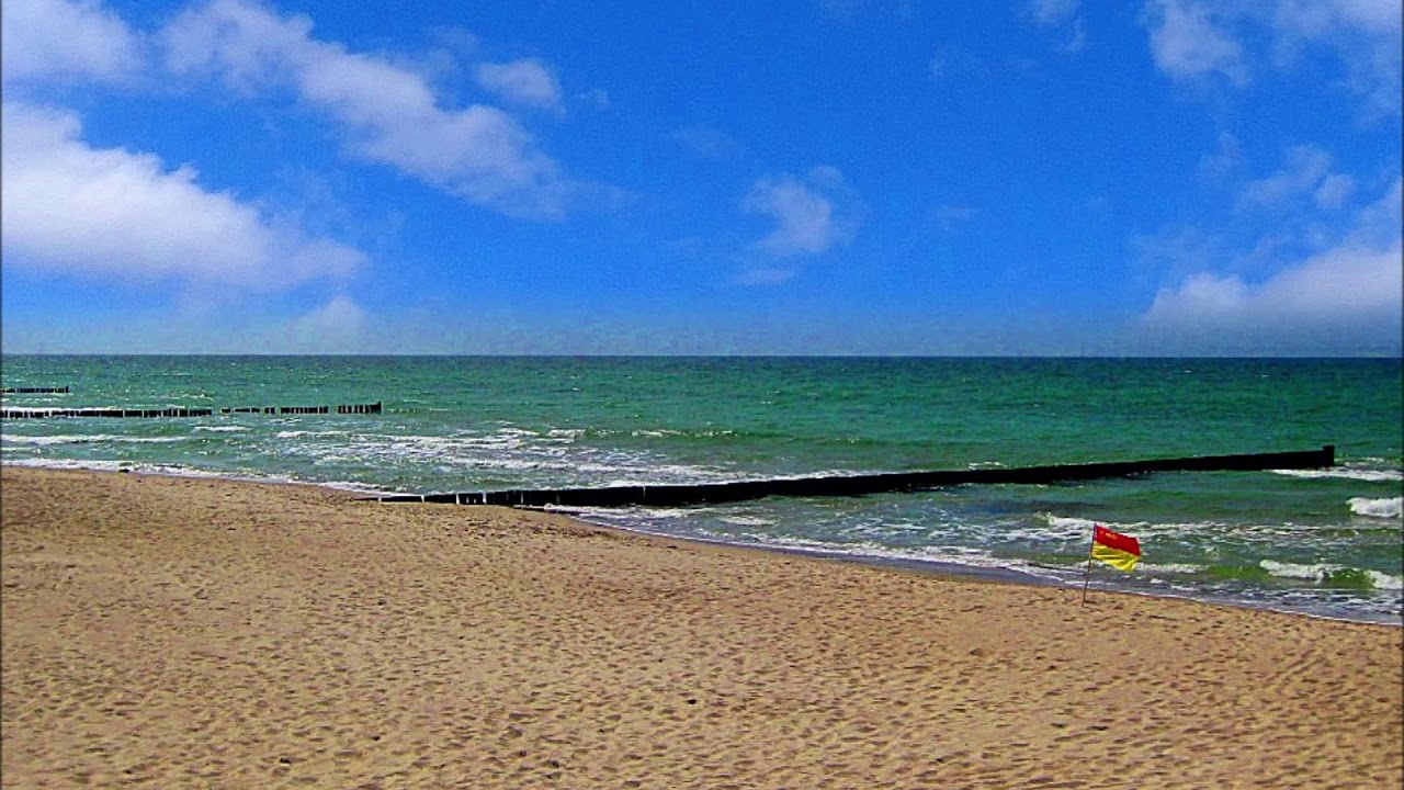 The Cats - One Way Wind - YouTube