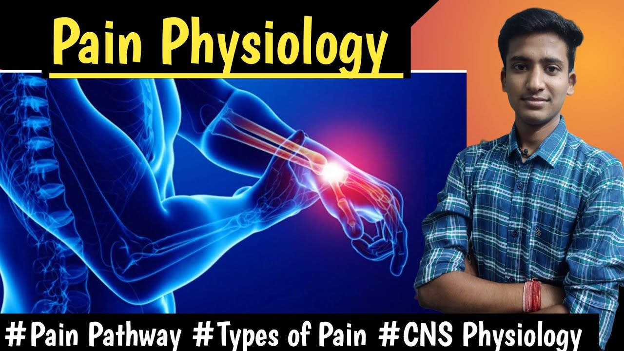 Pain Physiology|| Types of Pain ||Pain Pathway|| CNS Physiology ...