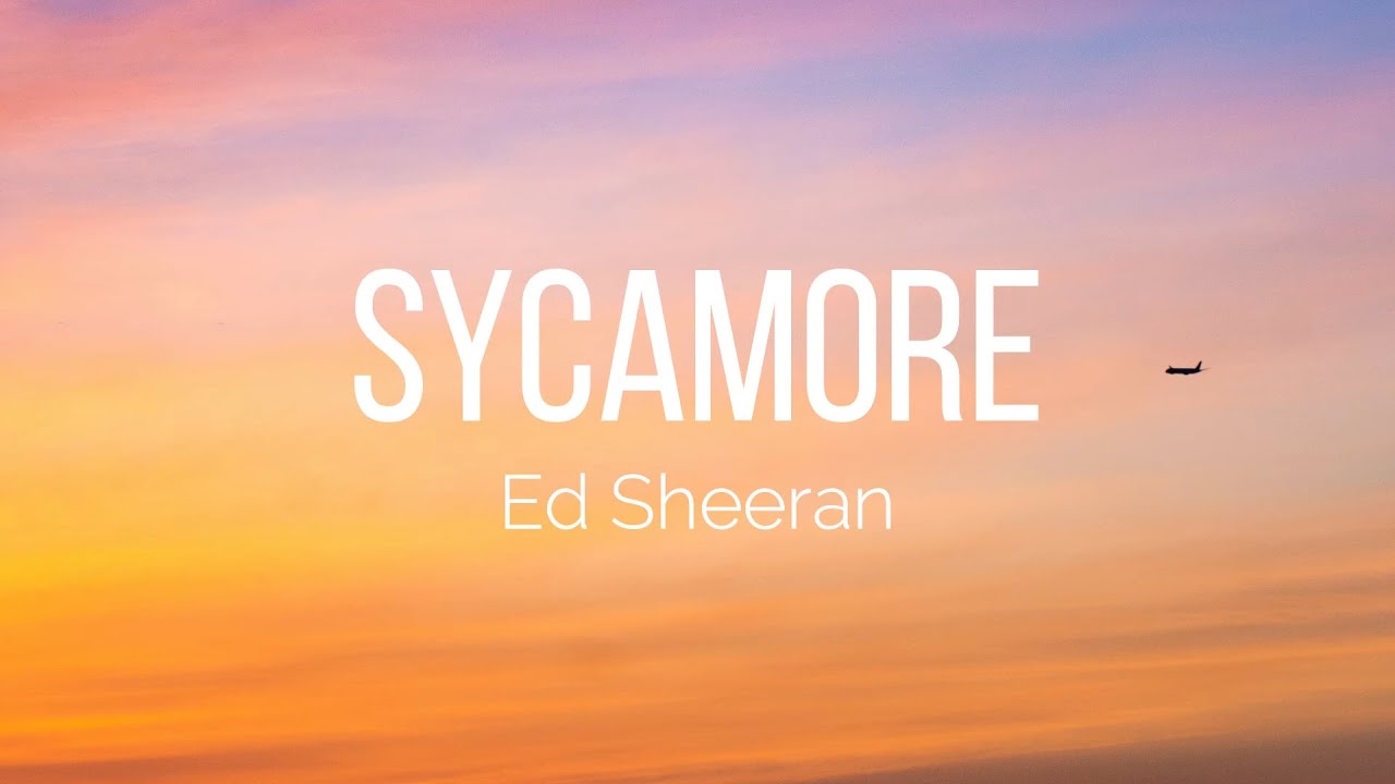 Ed Sheeran - Sycamore (Lyrics) - YouTube