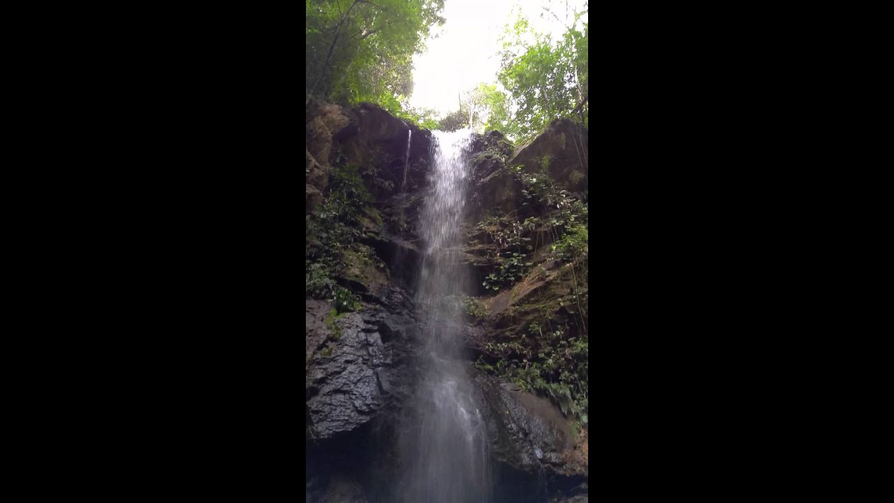 Avocat waterfall,Trinidad - YouTube