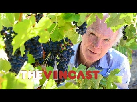 The Vincast Episode 082 - Viv Thomson From Best's Wines - YouTube