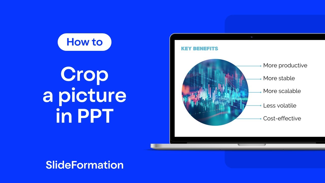 How To Crop A Picture In PowerPoint A Practical Guide For A Great How To Crop A Picture In PowerPoint A Practical Guide For A Great