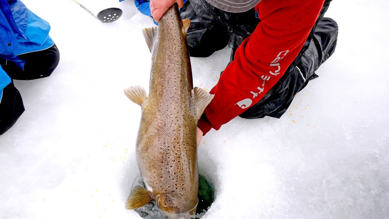 Fishing for Monsters Under the Ice - YouTube