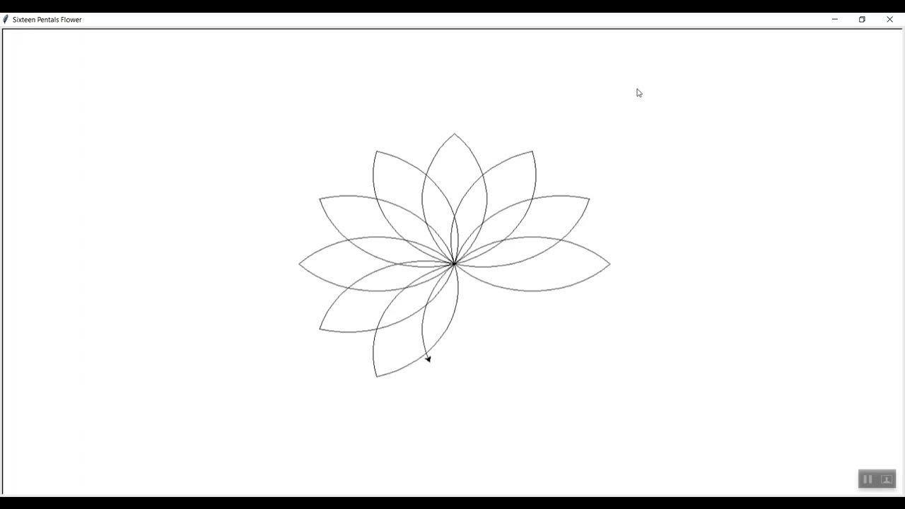 The Petals Flower Turtle with Python #python #visualstudio - YouTube