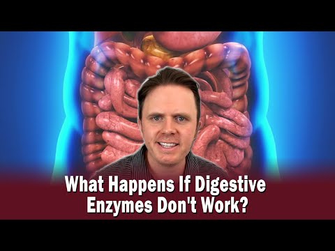 What Cause Enzymes To Not Break Food Down