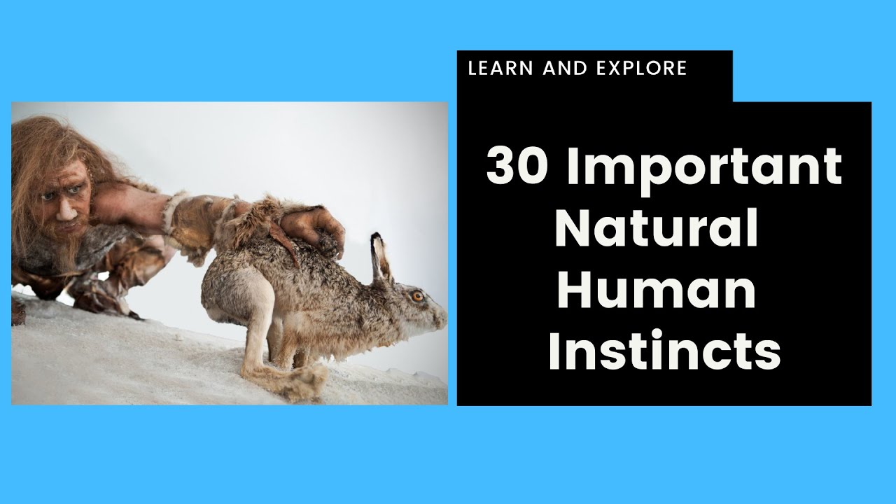 30 Important Natural Human Instincts | A brief SUMMARY | Philosophy ...