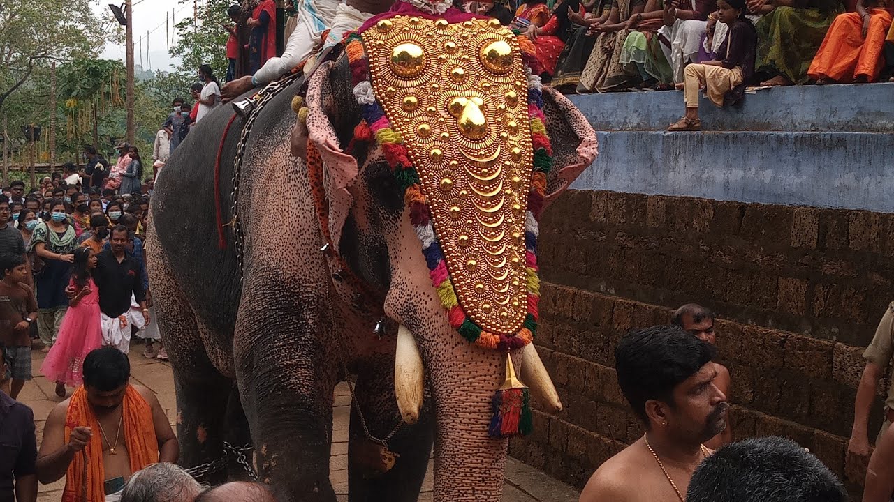 Angadipuram Thirumandhamkunnu Pooram - YouTube