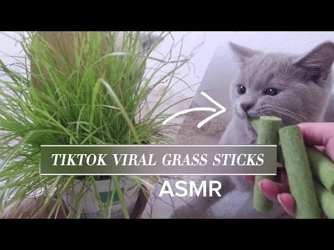 TRYING the VIRAL TIKTOK GRASS STICKS on my CATS [ Asmr ] - YouTube