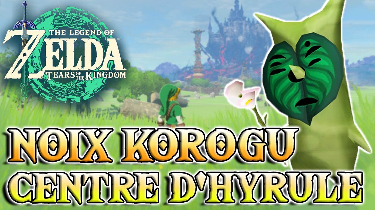 Toutes les NOIX KOROGU 🍃 – CENTRE et CHÂTEAU D’HYRULE | The Legend of ...
