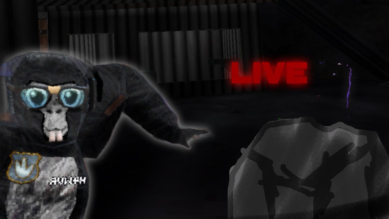 only up in gtag🔴 - YouTube