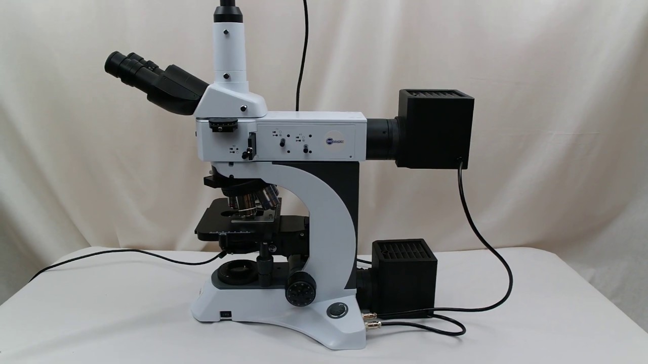 Bioimager BMU500DIC Metallurgical Microscope Review- Main Body Overview ...