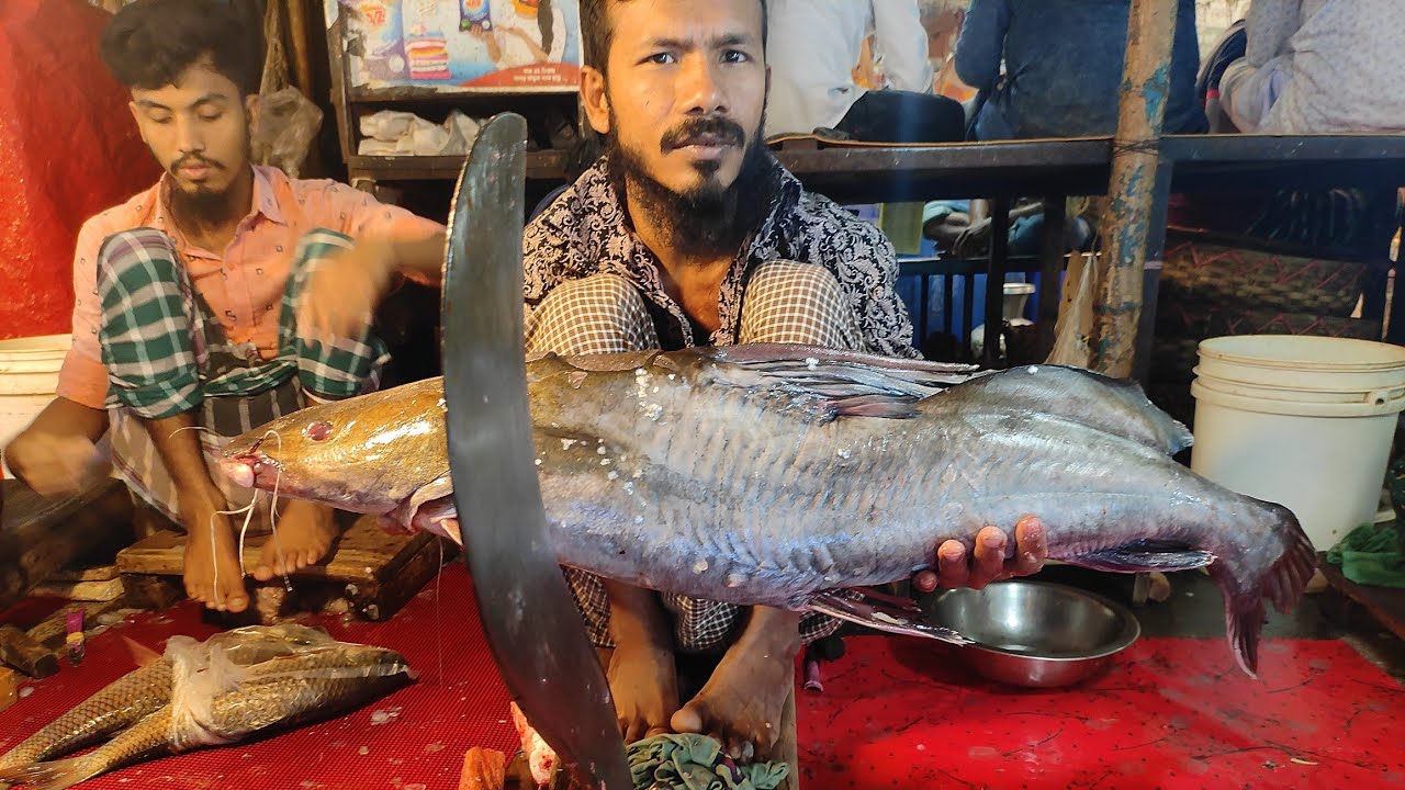 18 February 2023 6KG Aier Fish Cutting 6000 BDT [1000$] | Big Fish ...