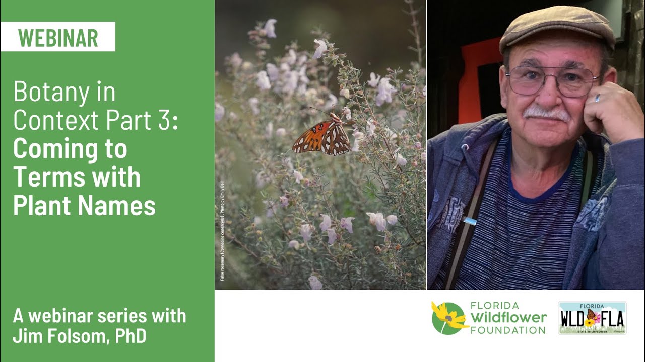 Botany in Context Part 3: Coming to Terms with Plant Names - YouTube