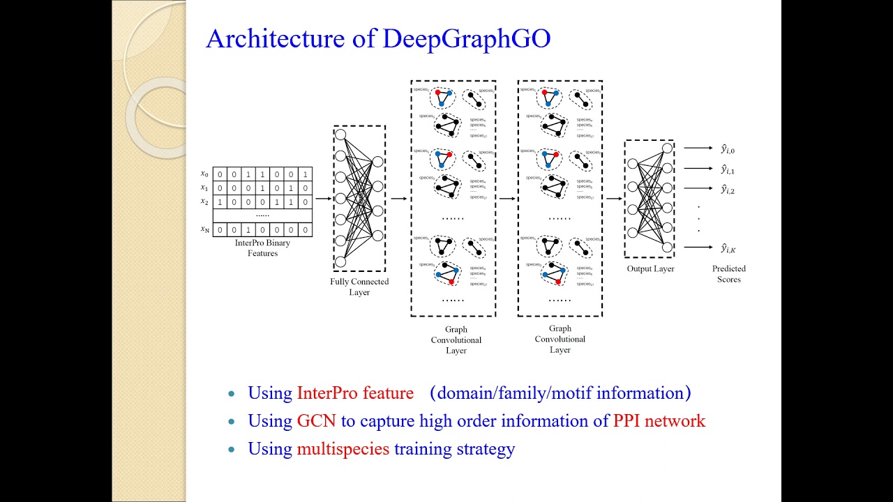 DeepGraphGO: graph neural network for large... - Ronghui You - Function - Talk - ISMB/ECCB 2021 ...