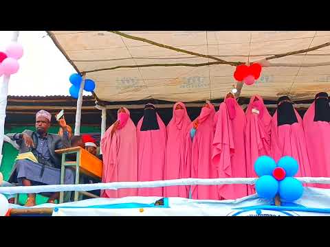 maaddaa haraashii ayyoota Kenya magaala borodaa